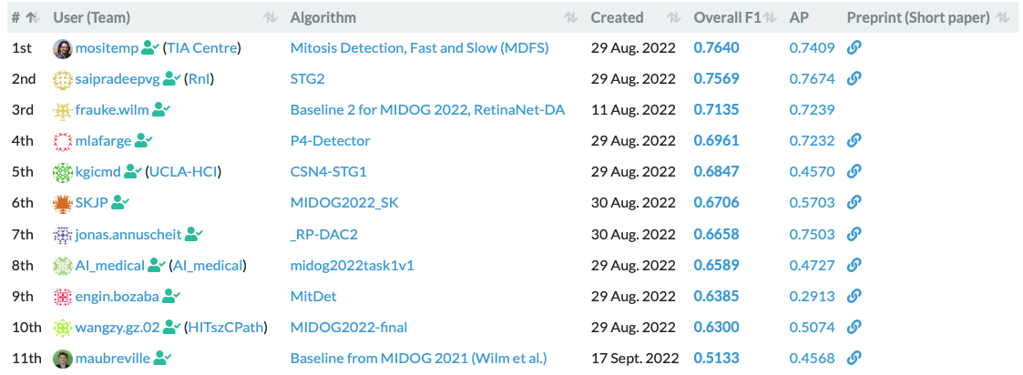 Error in additional AP metric of MIDOG 2022